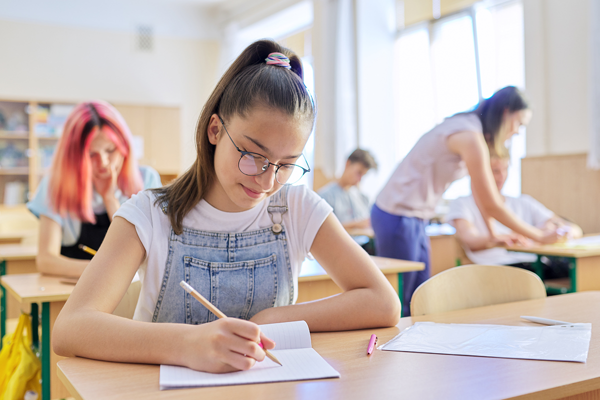MS with Initial Teaching Certification | Warner School of Education